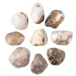 Spotted Agate Large Tumblestone 3-4cm - The Crystal Healing Shop West ...
