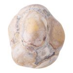 Spotted Agate Large Tumblestone 3-4cm - The Crystal Healing Shop West ...