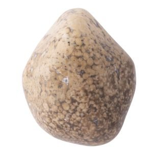 Spotted Agate Large Tumblestone 3-4cm - The Crystal Healing Shop West ...