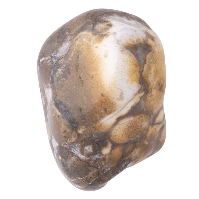 Spotted Agate Large Tumblestone 3-4cm - The Crystal Healing Shop West ...