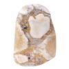 Spotted Agate Large Tumblestone 3-4cm - The Crystal Healing Shop West ...